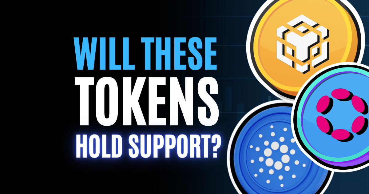 Crypto Team Build » Will These Tokens Hold Support?